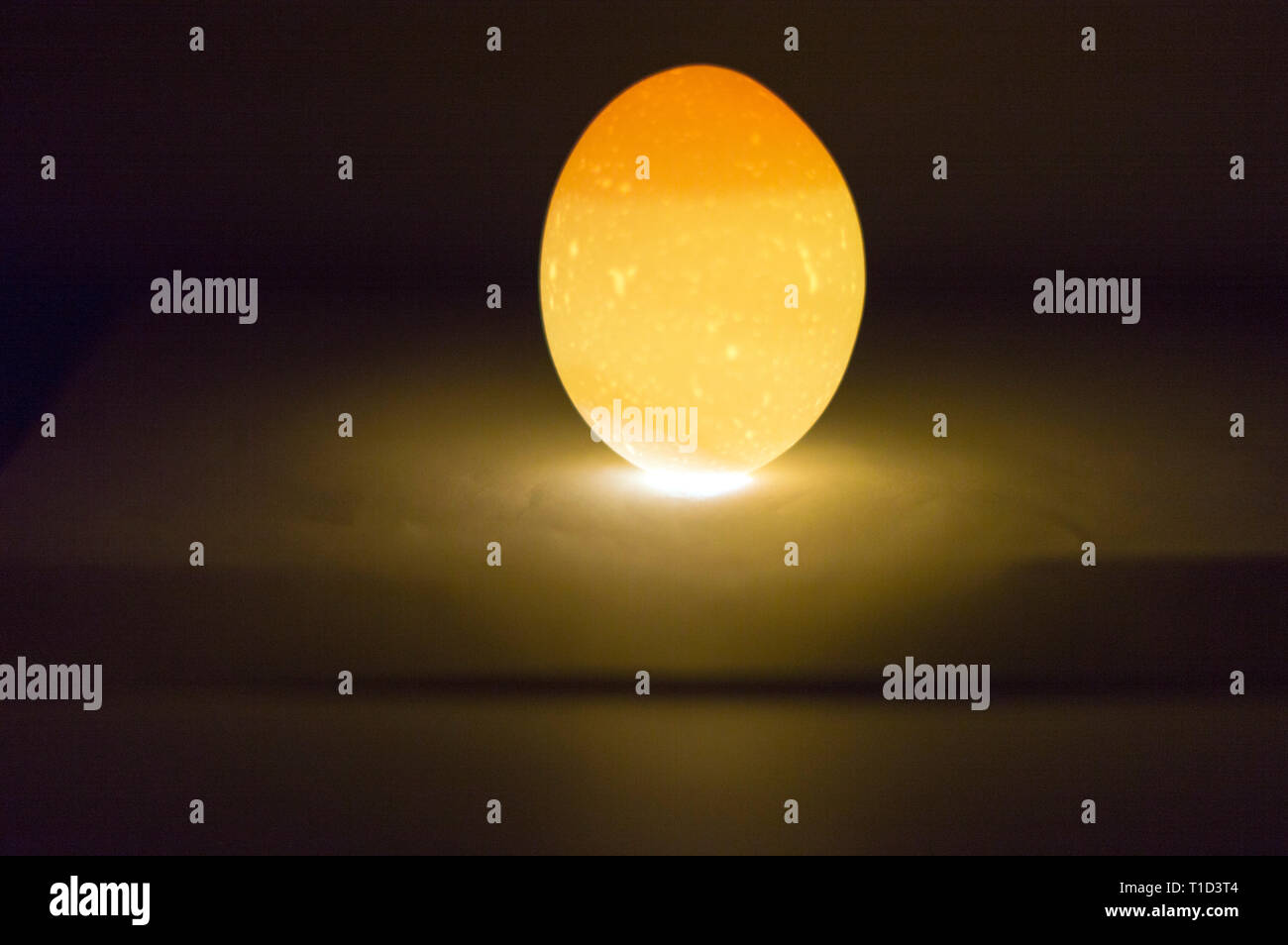Light and life hi-res stock photography and images - Alamy