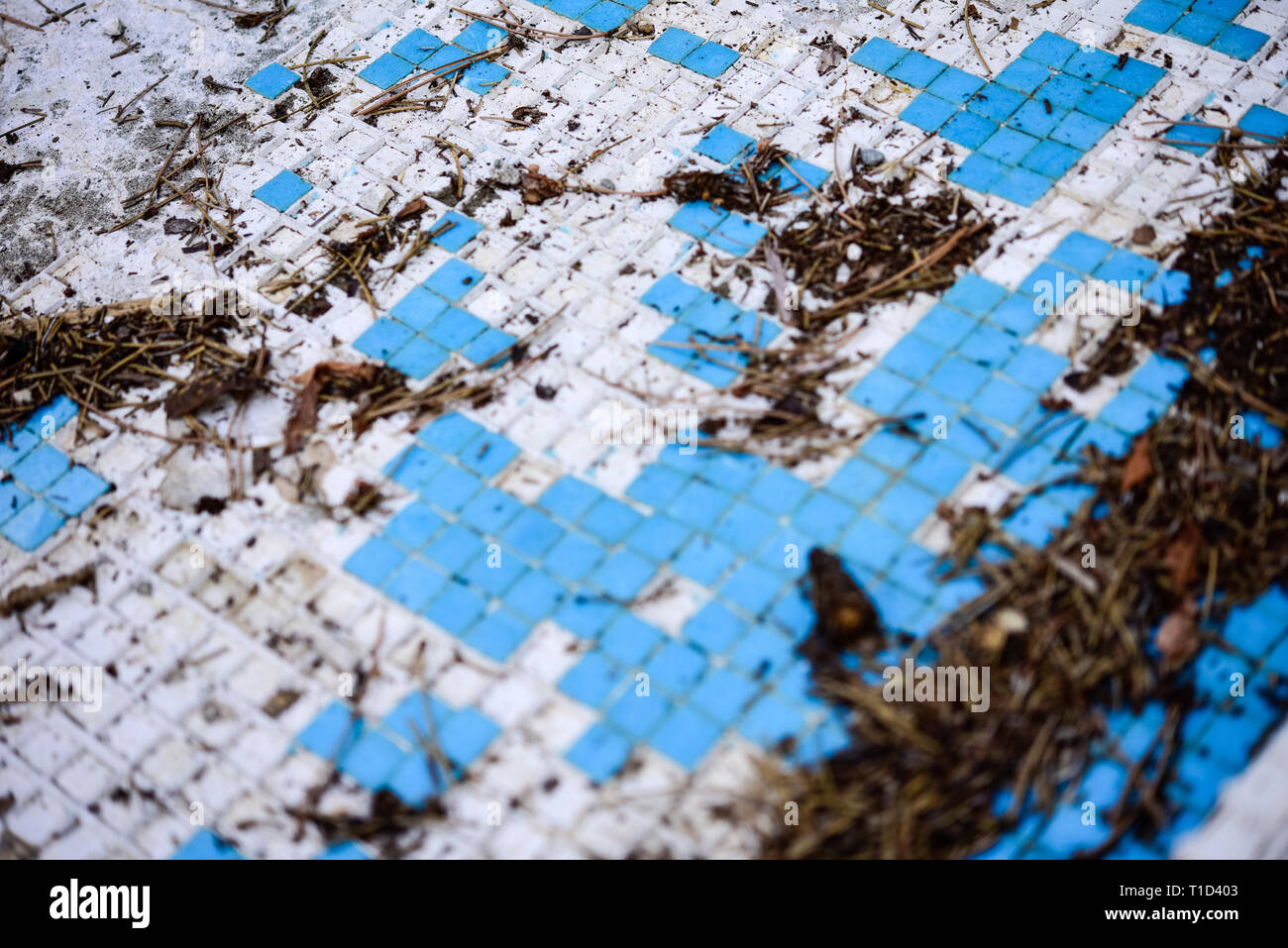 Broken blue azure retro tiles mosaic in abandoned pool - Berengaria ...