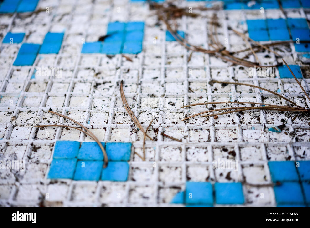Broken blue azure retro tiles mosaic in abandoned pool - Berengaria ...