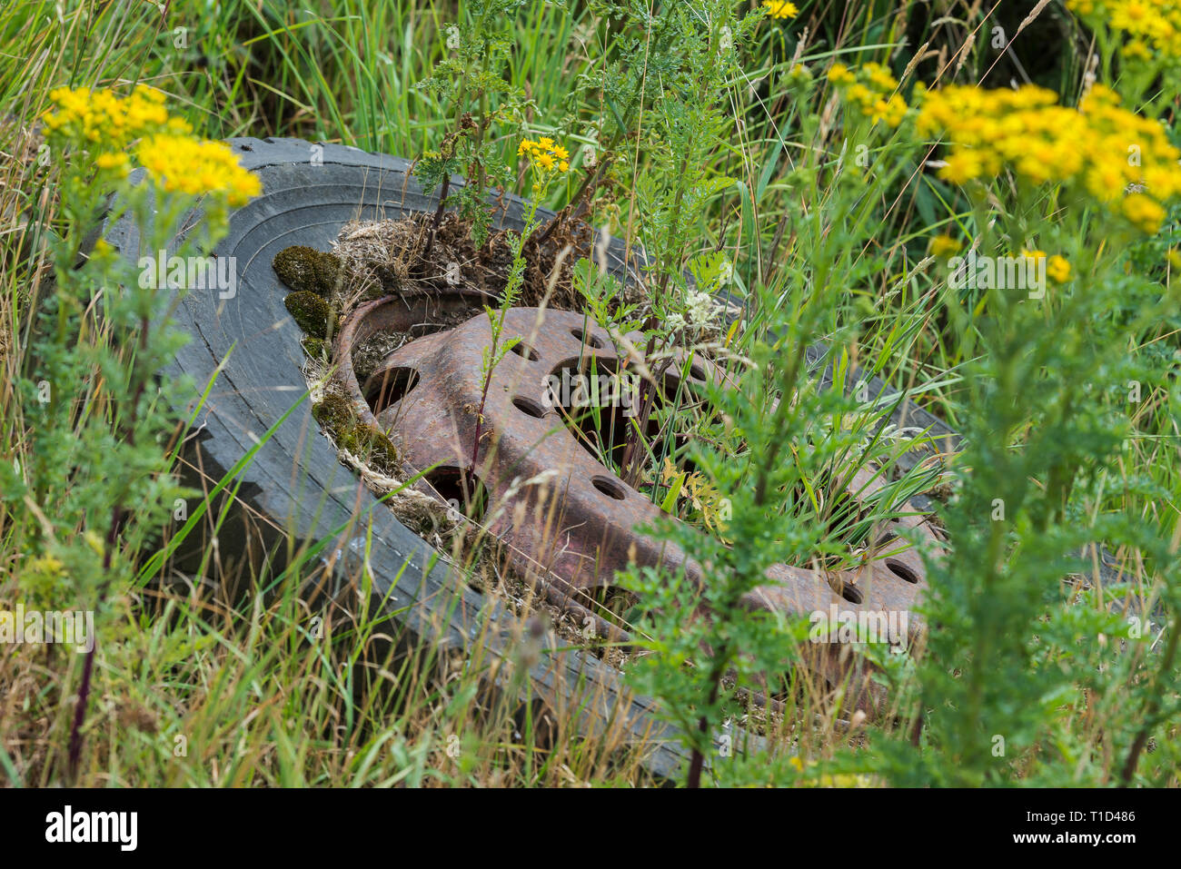 Old tire in grass hi-res stock photography and images - Alamy