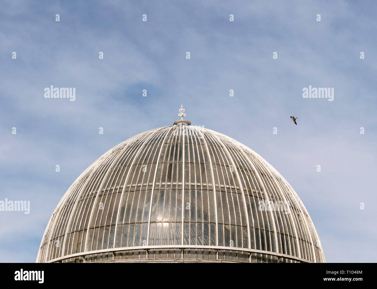 Glass dome botanical garden hi-res stock photography and images - Alamy