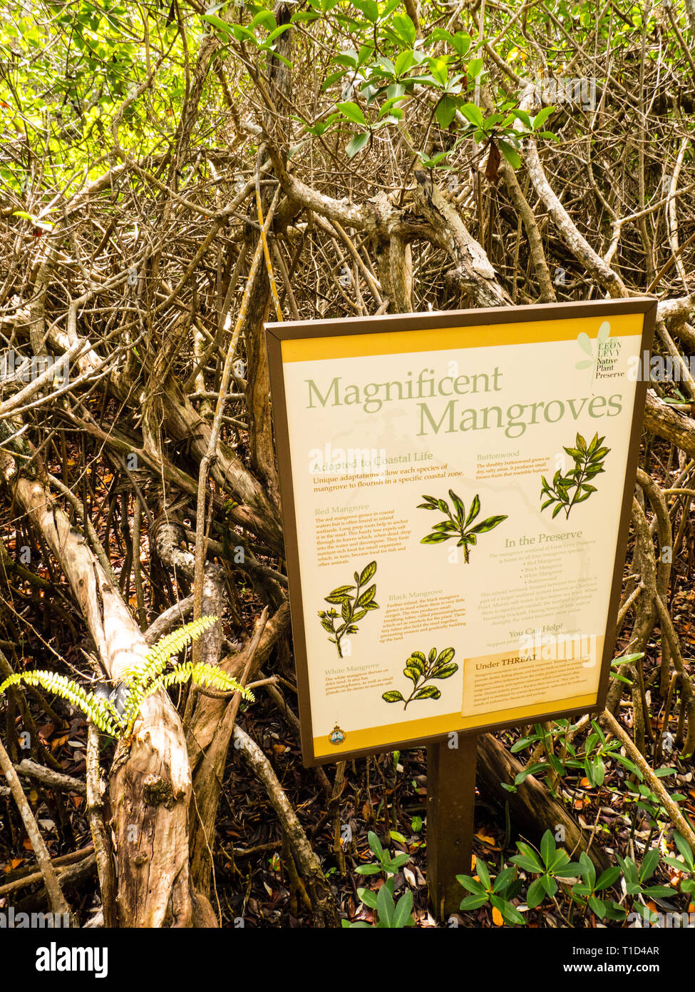 Magnificent Mangroves Information Sign, Leon Levy Native Plant Preserve ...