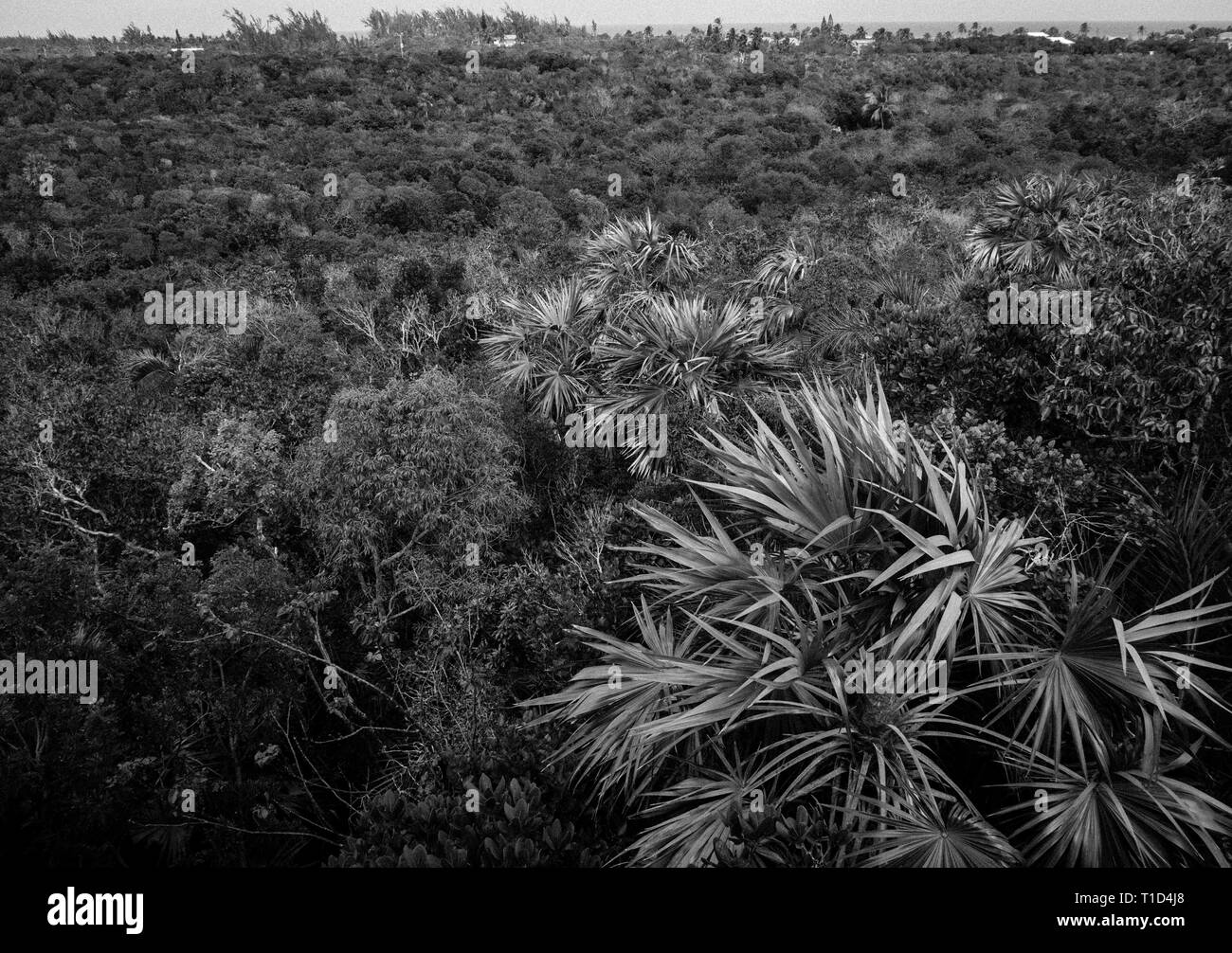 Aerial View of Leon Levy Native Plant Preserve, Governors Harbour ...