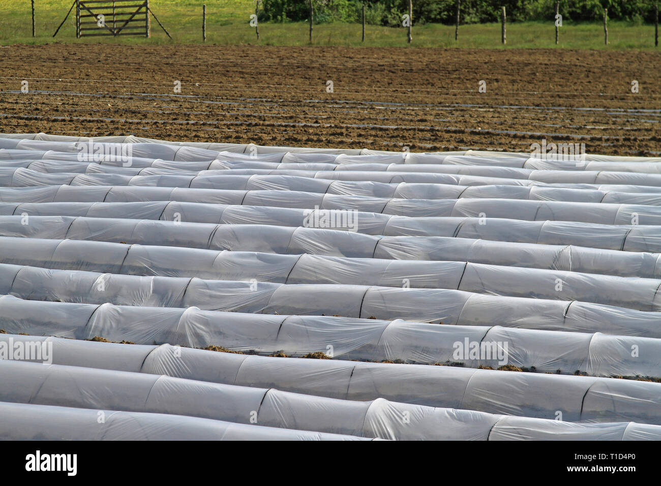 Floating row cover hi-res stock photography and images - Alamy