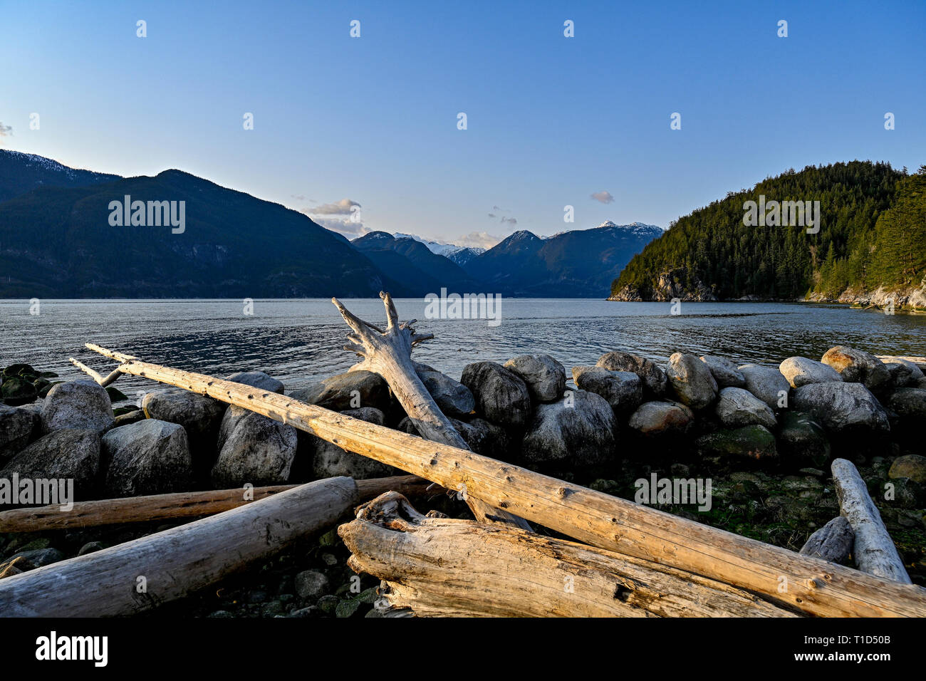 Logs on beach hi-res stock photography and images - Alamy