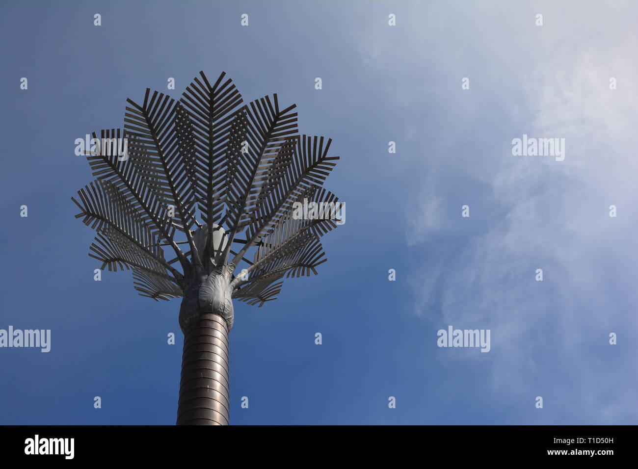 Nikau Palm Tree High Resolution Stock Photography and Images - Alamy