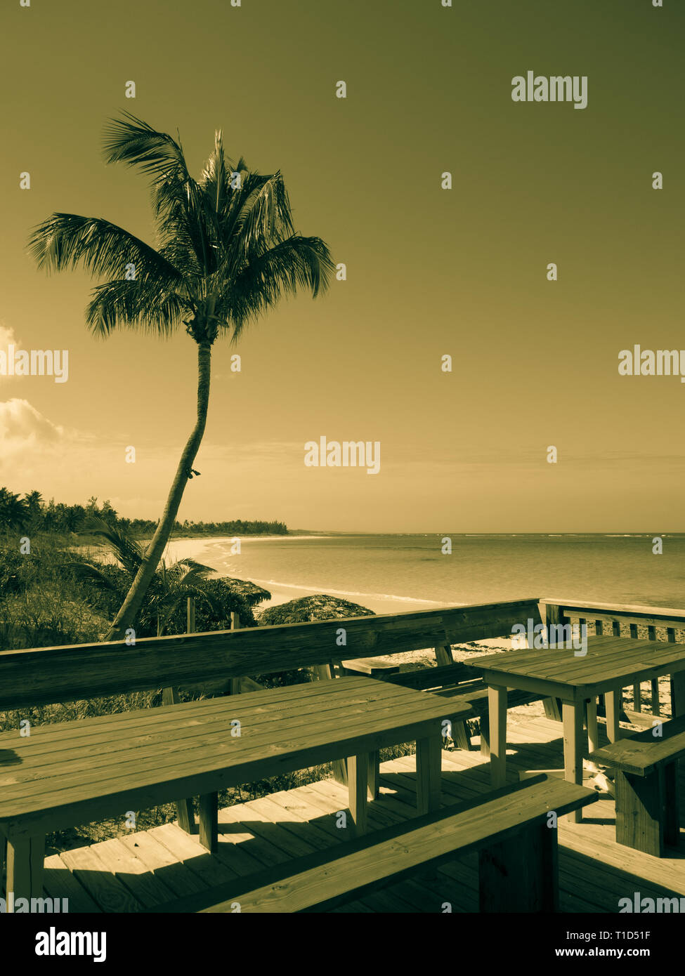 Black and White Landscape of Coastline, Tippy's Restaurant and ...