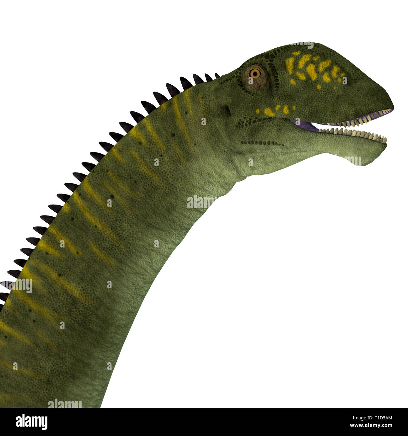 Mamenchisaurus hochuanensis was a herbivorous sauropod dinosaur that ...