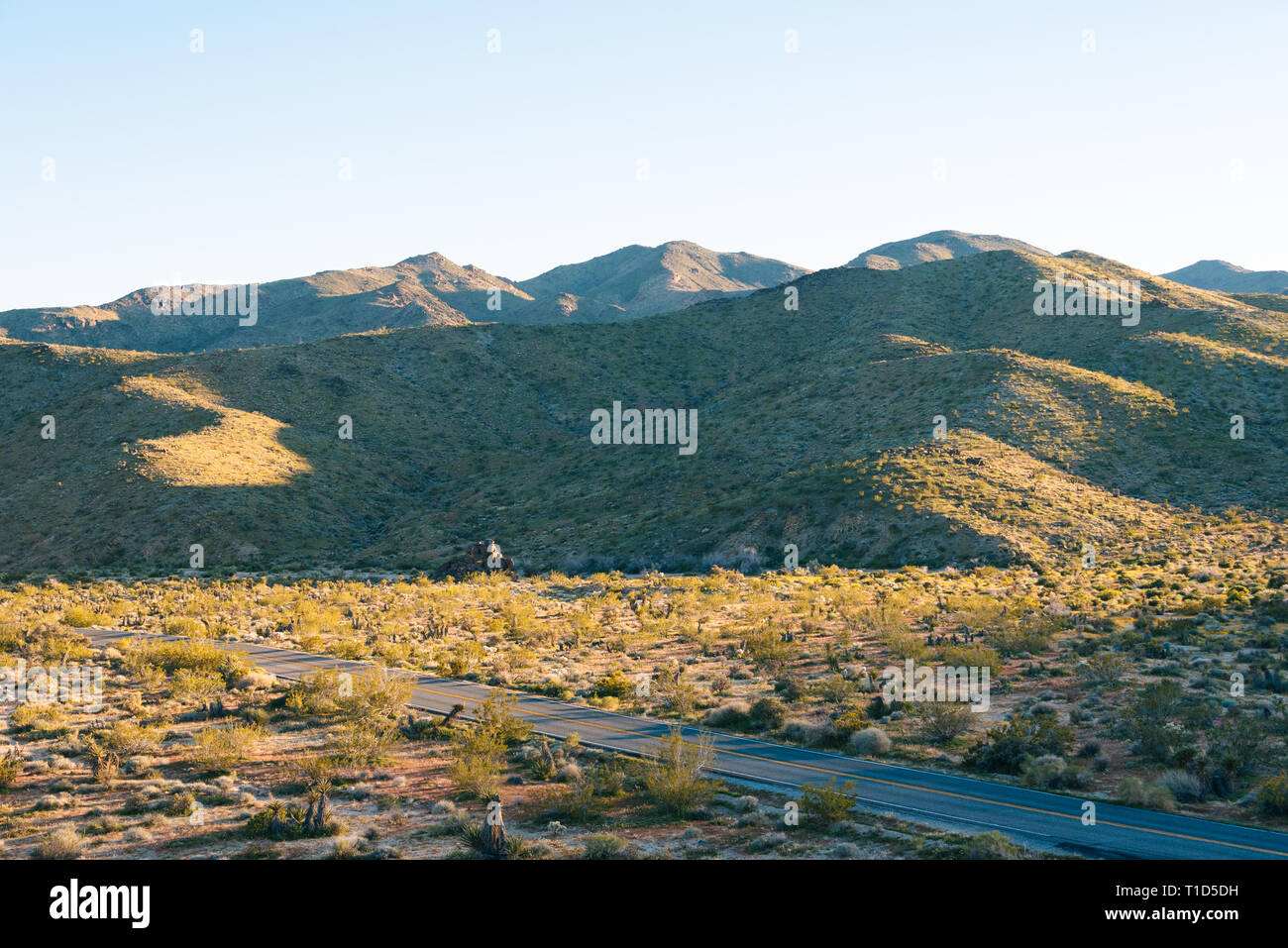 Road and mountains in the desert of Joshua Tree National Park ...