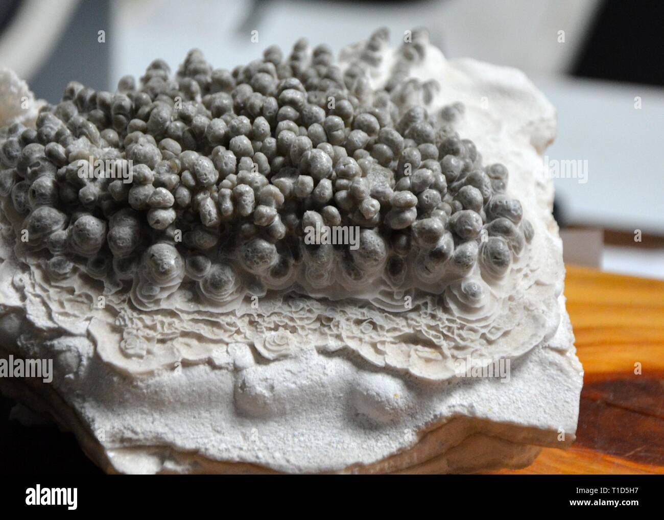 Silica sinter hi-res stock photography and images - Alamy