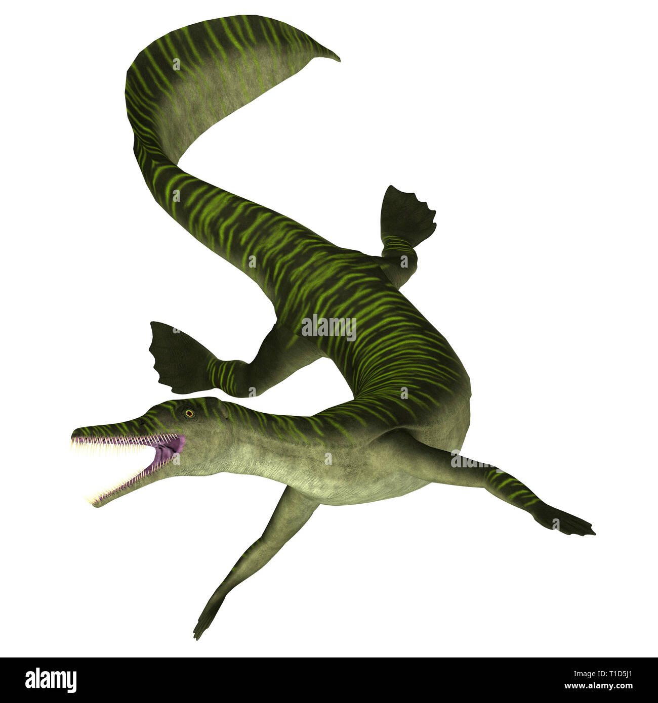 Mesosaurus