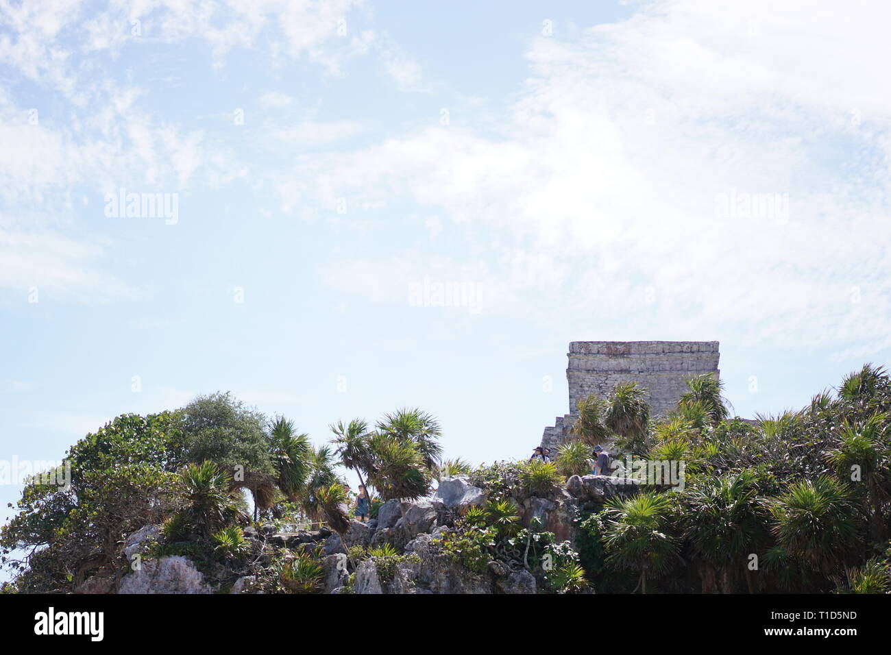 Tourists walking along the jungle trail to reach El Castillo in the ...