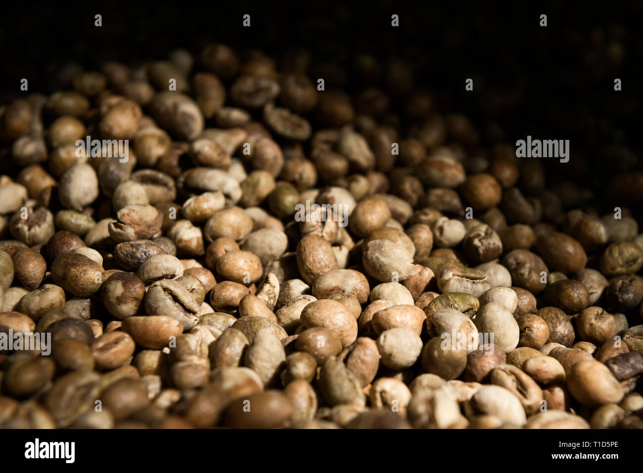 Roasted Indonesian coffee beans Stock Photo - Alamy