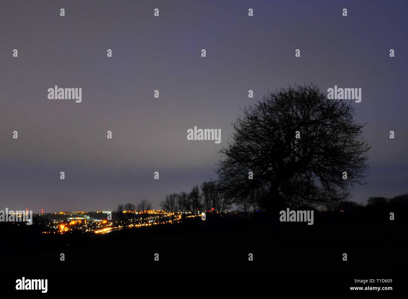 Hagley wood tree hi-res stock photography and images - Alamy
