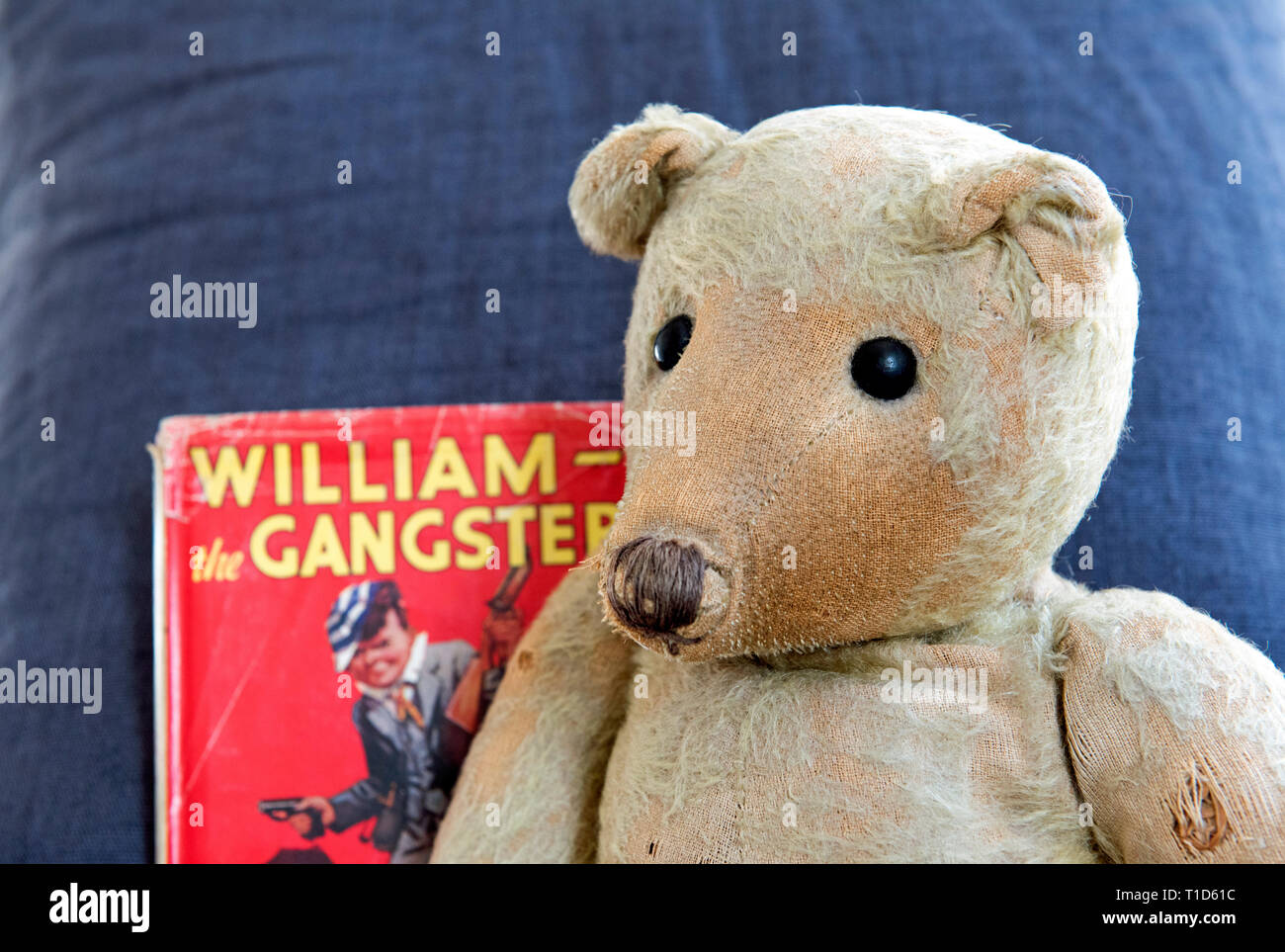 German Ted, very elderly much loved and worn German vintage teddy bear ...