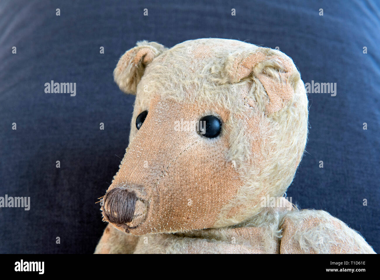 Super Cool Teddy Bears Faces