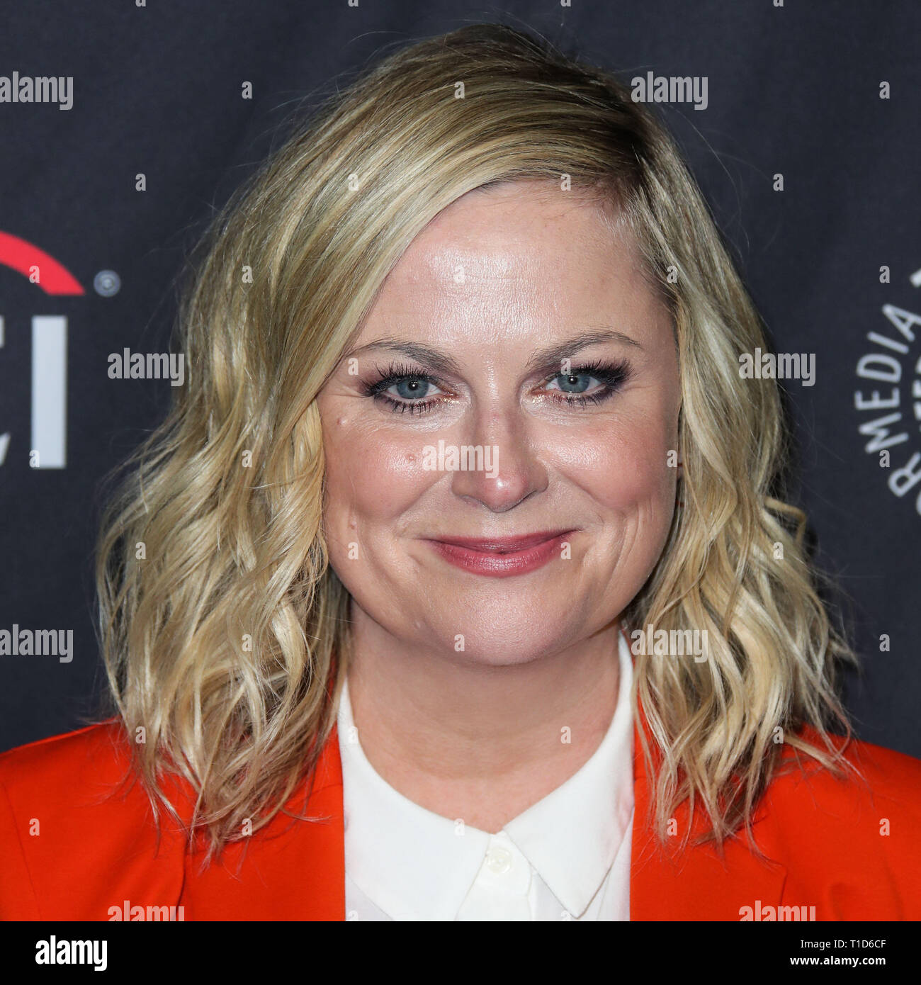 Amy Poehler Commercial Celebrities