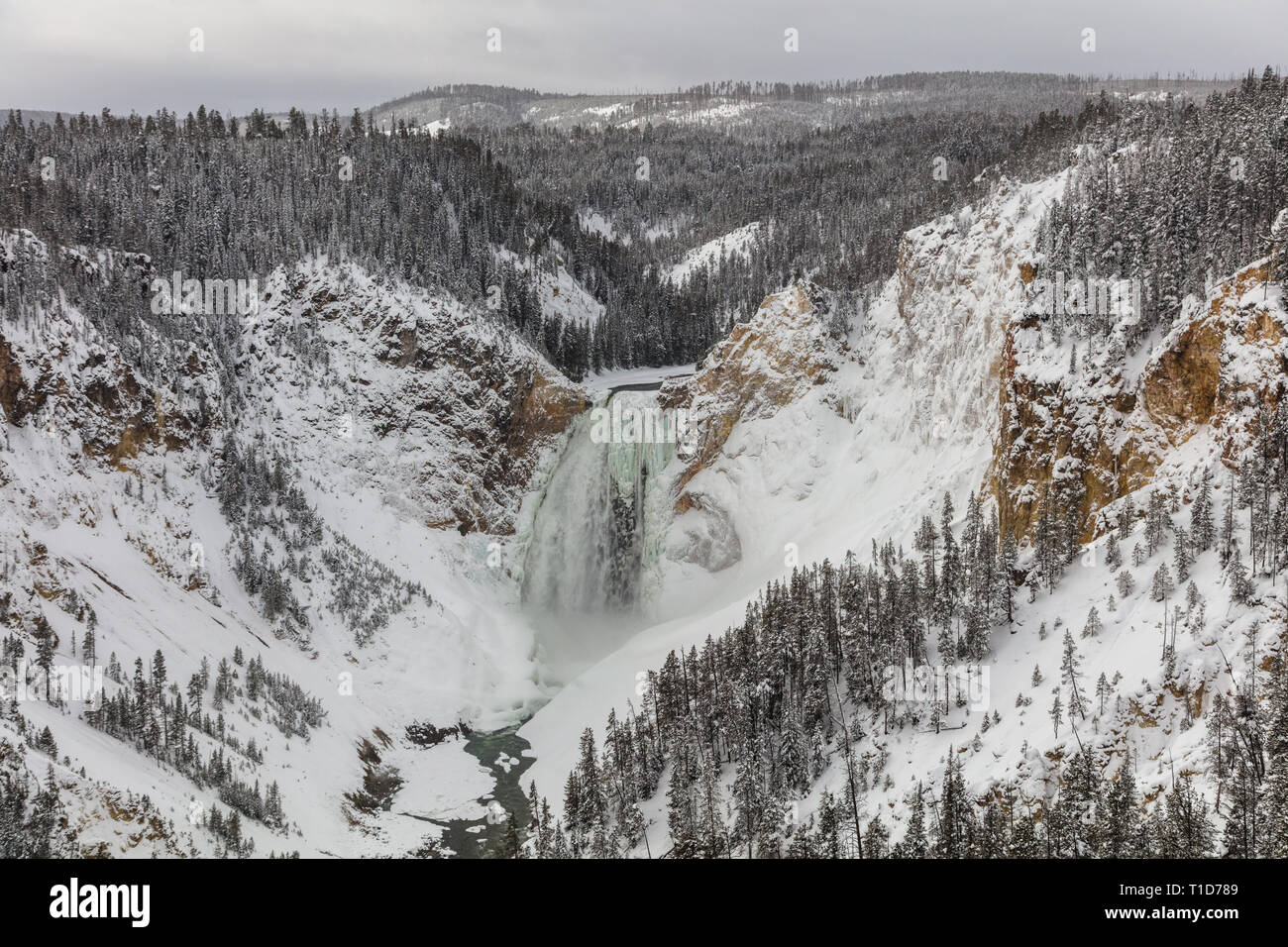Yellowstone National Park - Lower Falls from Lookout Point Stock Photo ...