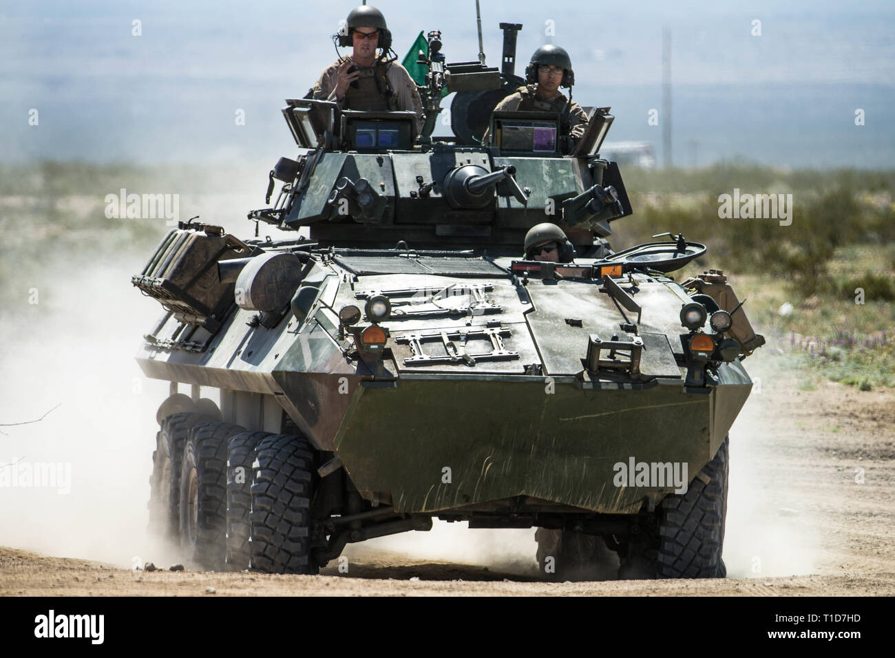 M242 bushmaster hi-res stock photography and images - Alamy
