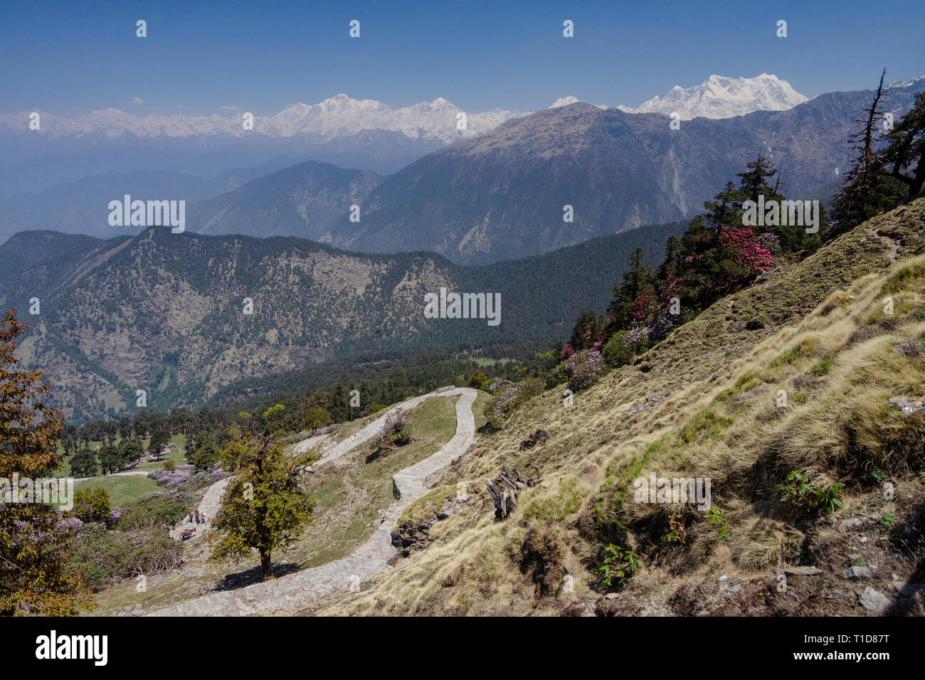 View from Tungnath Trek,Uttarakhand,India Stock Photo - Alamy