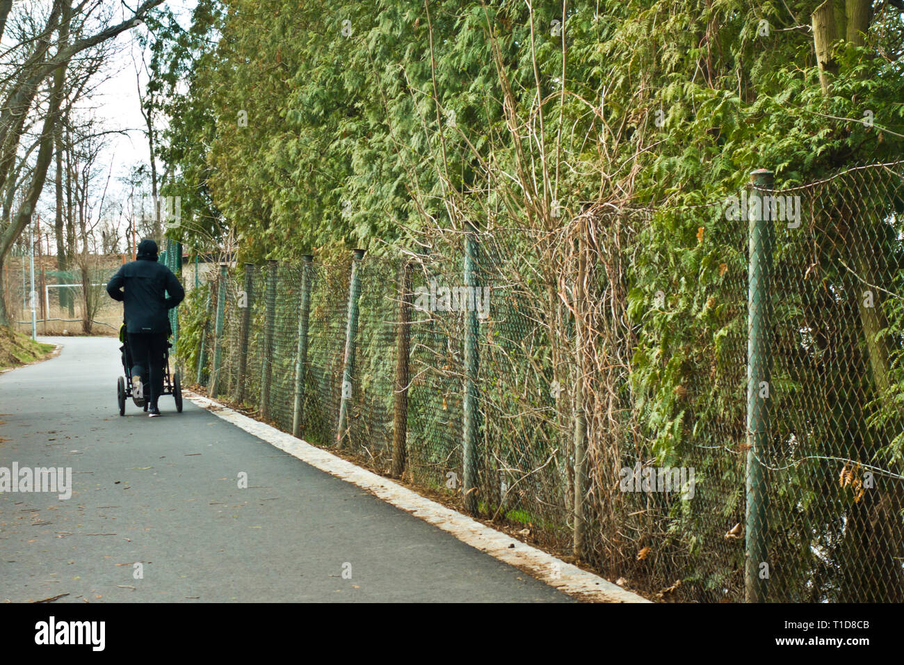 father doing jogging with a stroller Stock Photo - Alamy