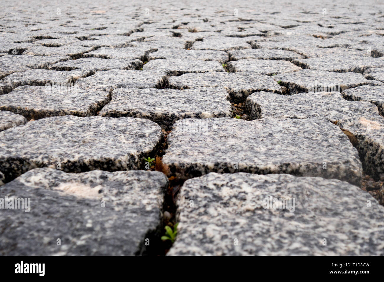 Belgian block hi-res stock photography and images - Alamy