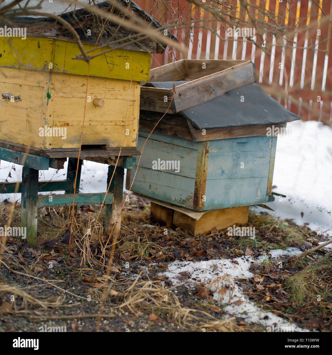 Square beehives hi-res stock photography and images - Alamy