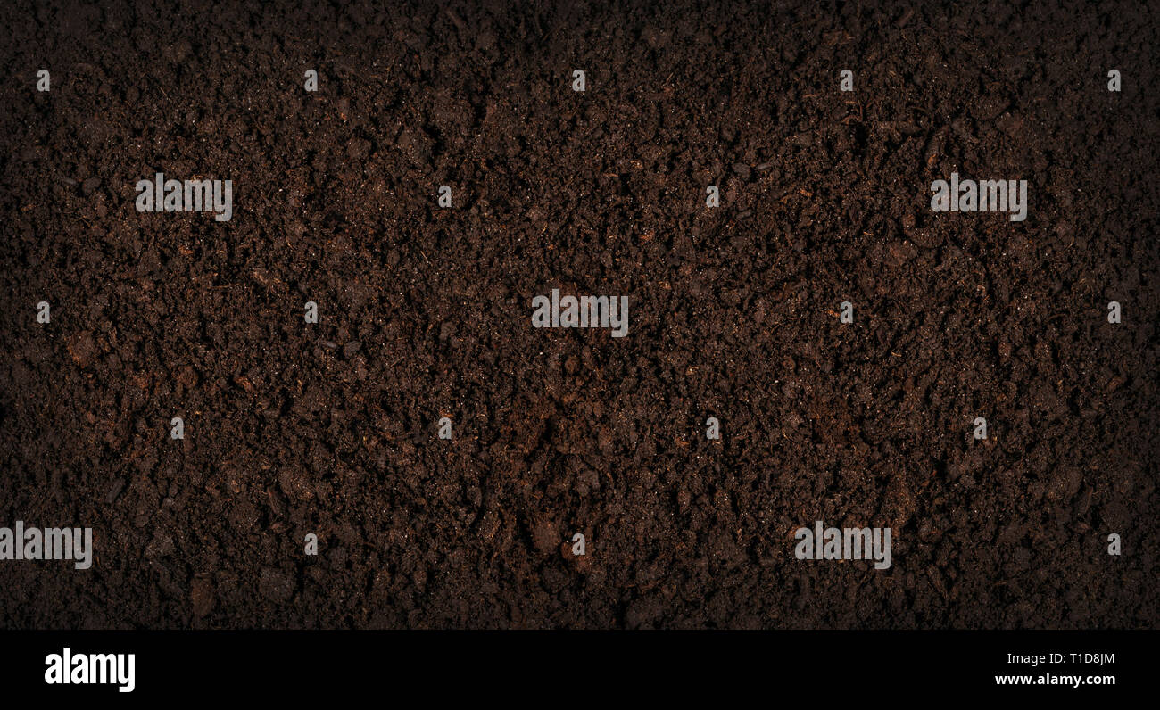 soil texture background seen from above, top view Stock Photo - Alamy