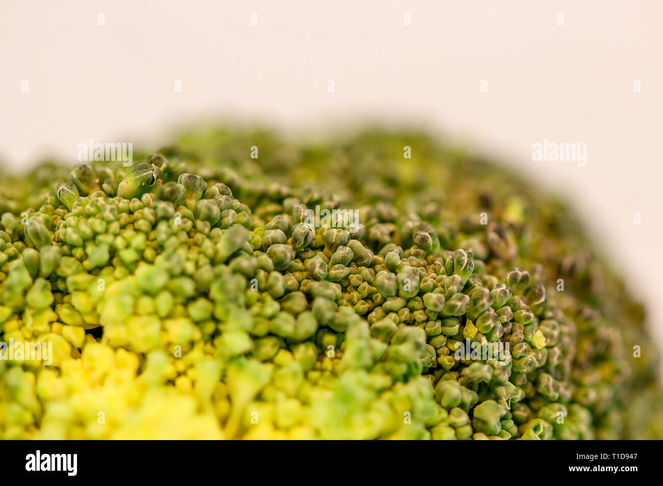 broccoli detail texture background,green healthy vegetables Stock Photo ...