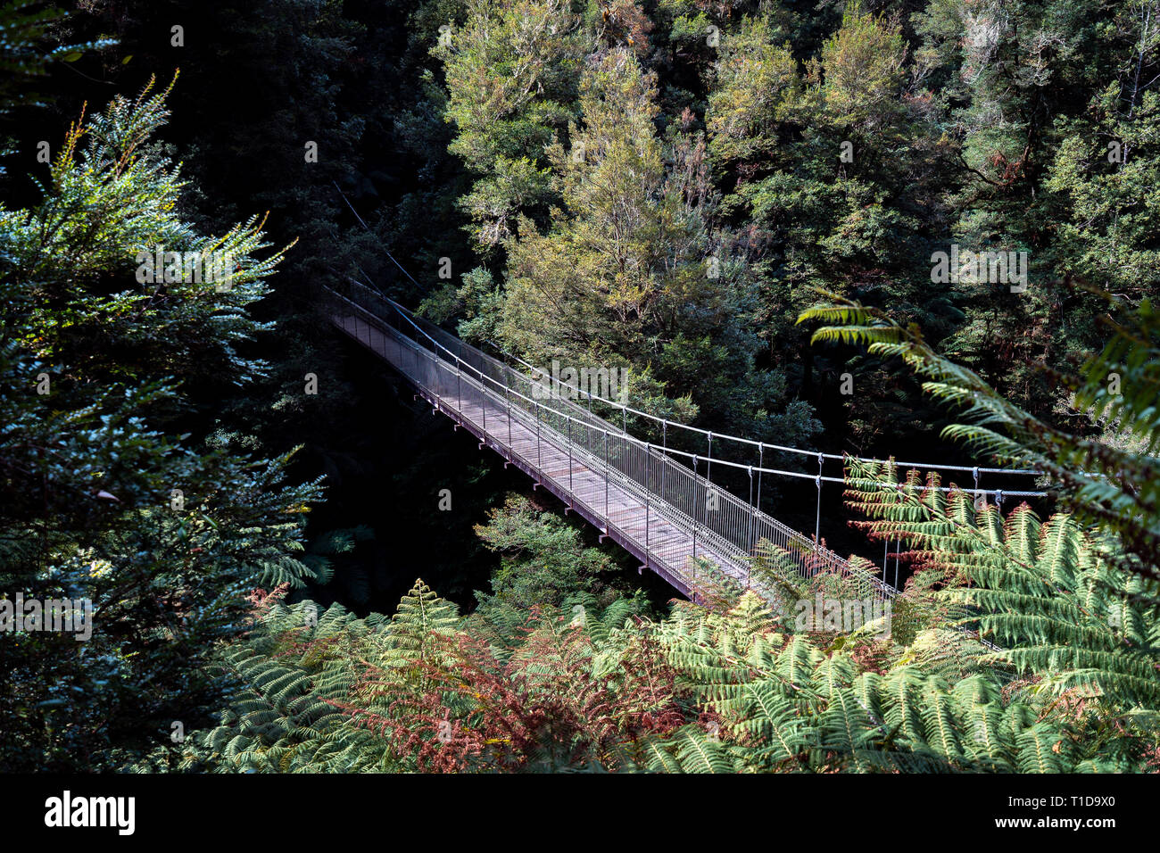 Bulga High Resolution Stock Photography and Images - Alamy