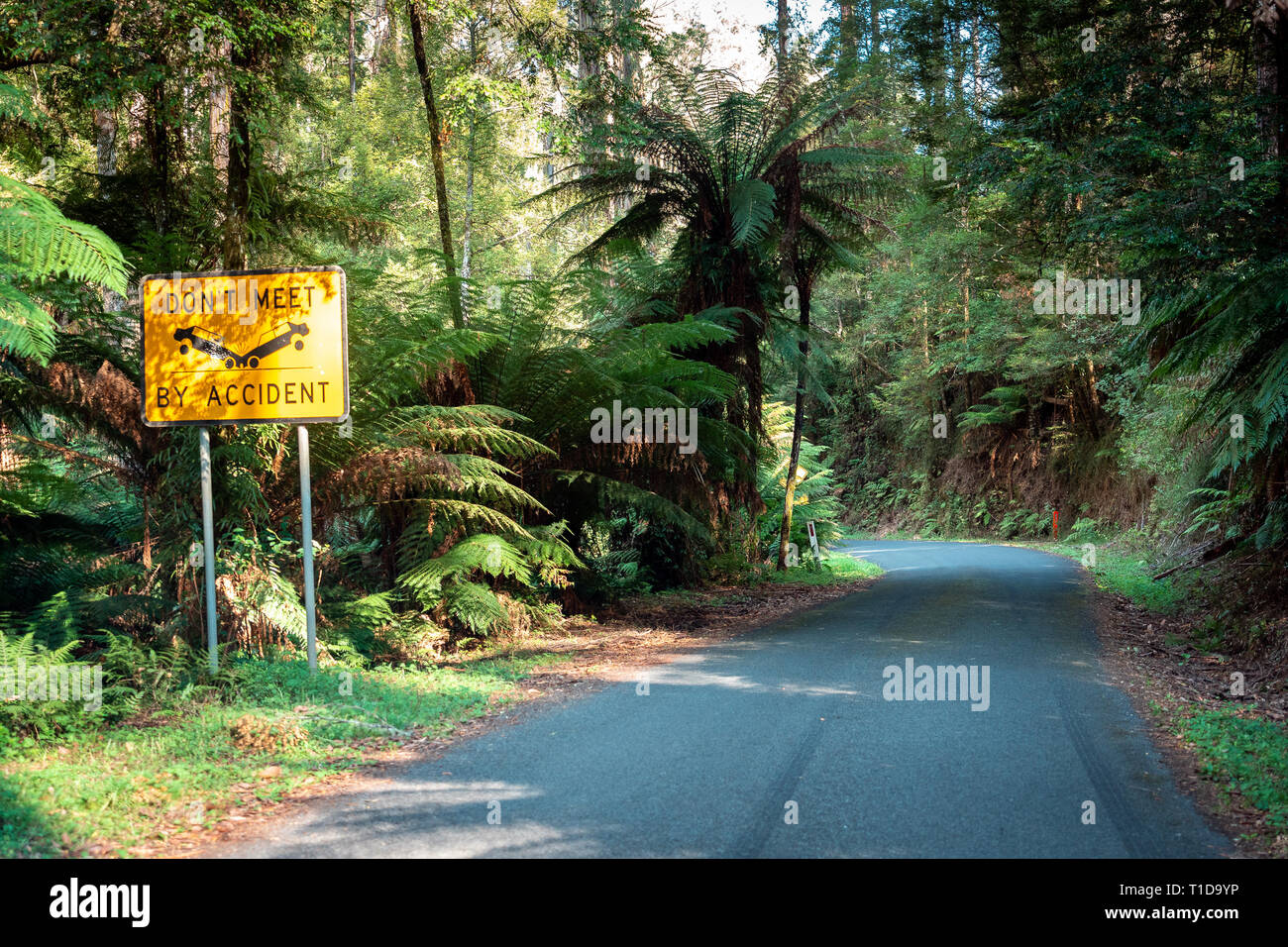 Accident warning sign on a narrow forest road Stock Photo - Alamy