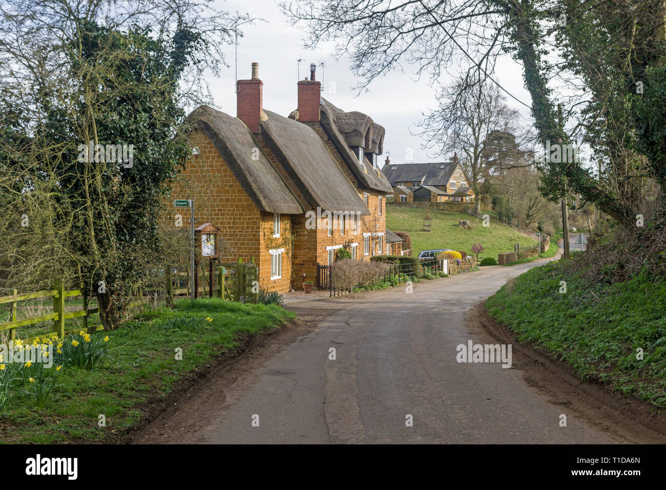 Country lane, with thatched houses to the left, passing through the ...