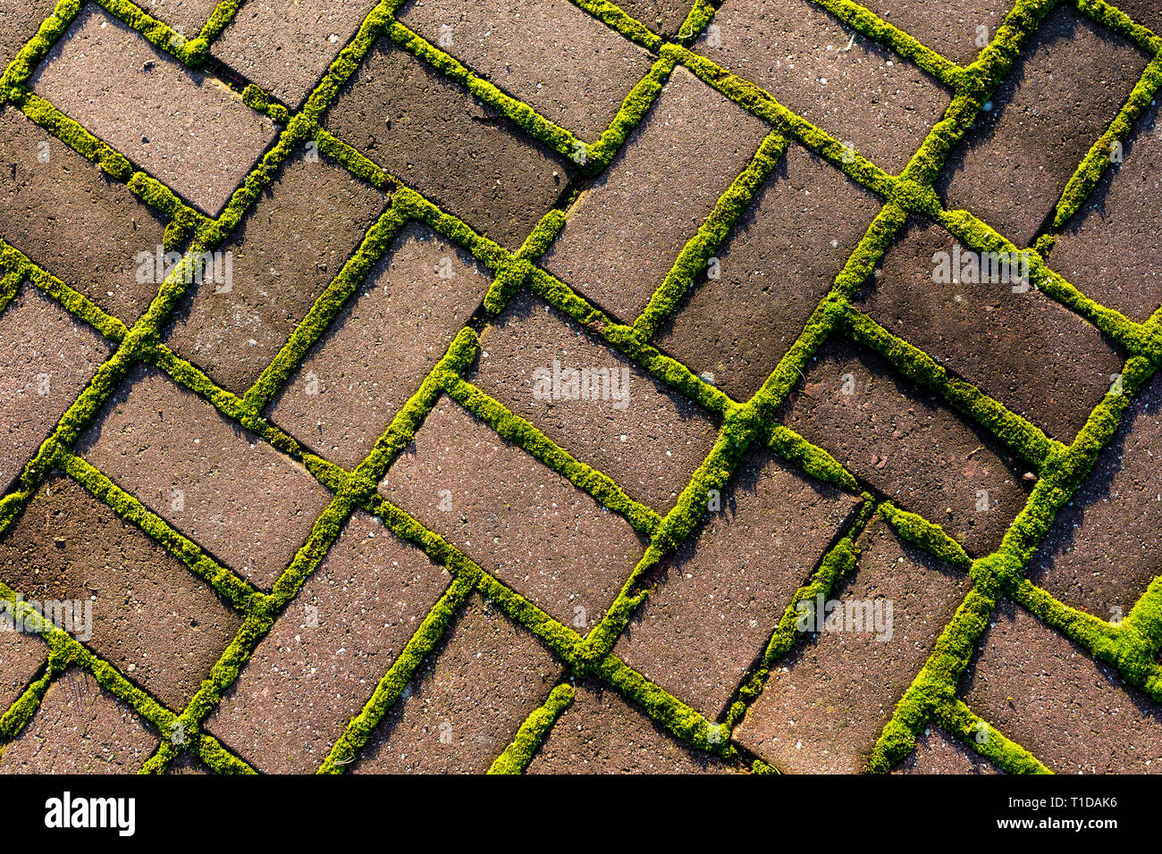 Grey stone footpath hi-res stock photography and images - Alamy