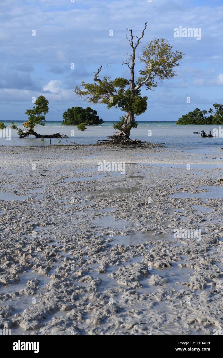 Quirimba Island, Quirimbas Archipelago, Mozambique, East Africa Stock ...