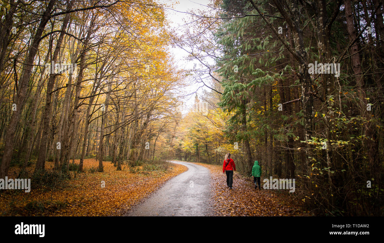 Mother walking with her son in forest hi-res stock photography and ...