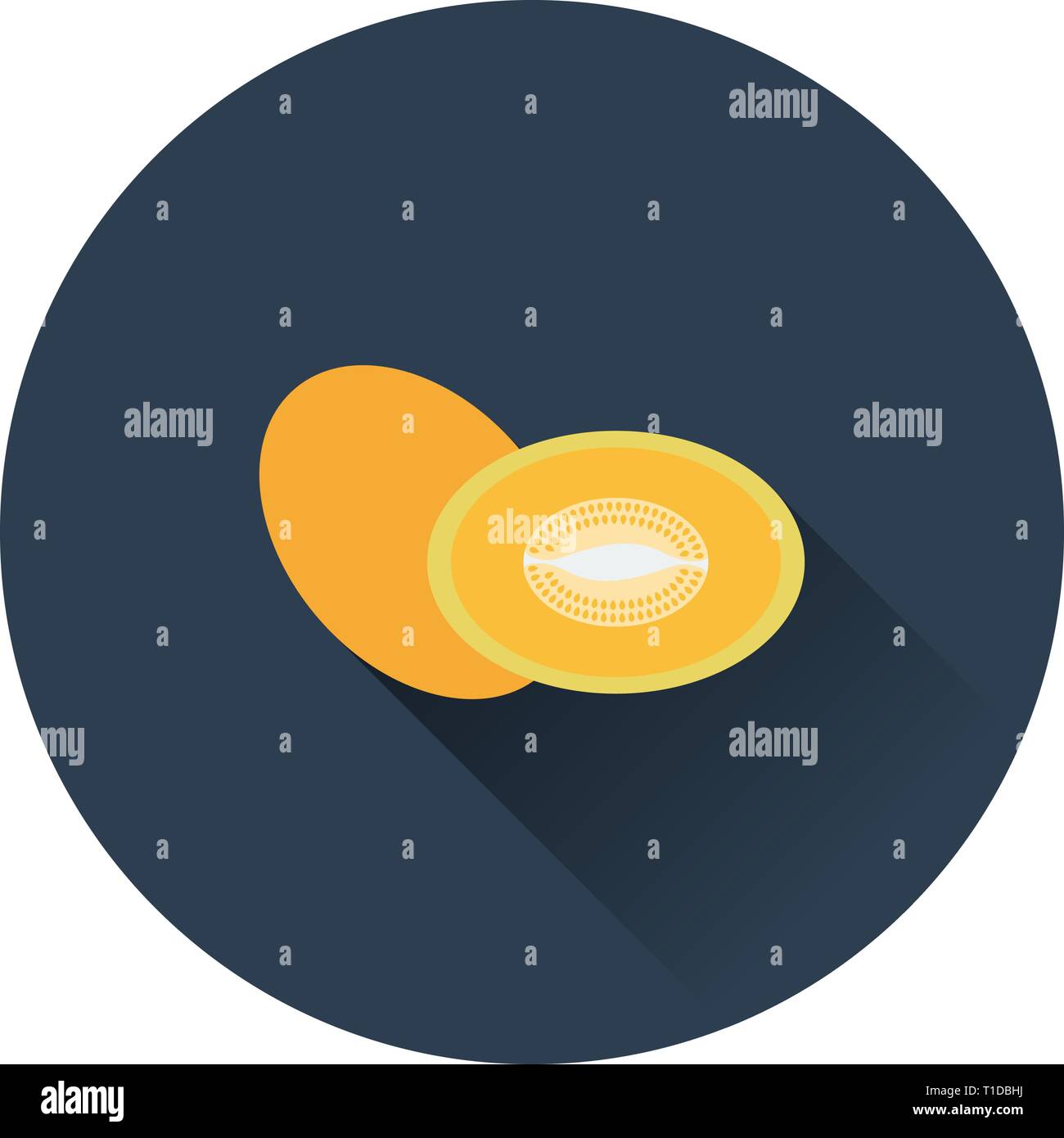 Flat design icon of Melon in ui colors. Vector illustration Stock ...