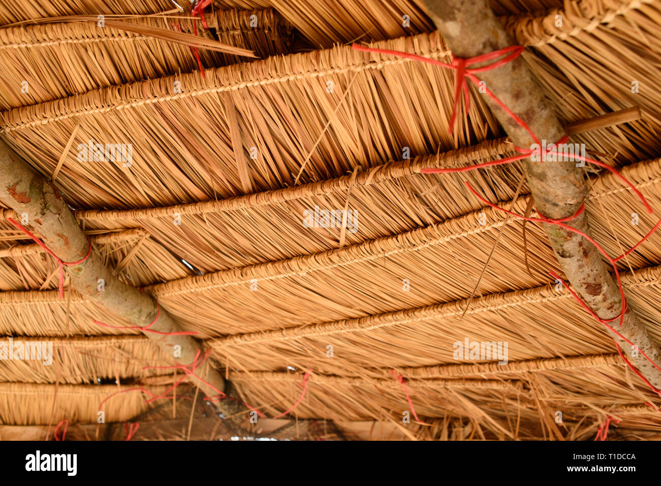 Tropical straw roof hut hi-res stock photography and images - Alamy