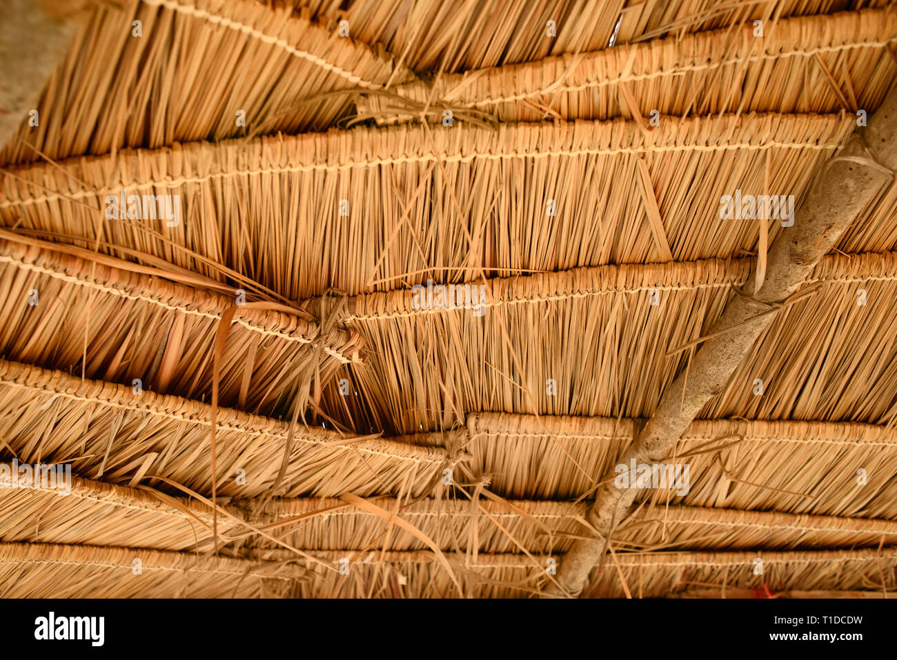 Tropical straw roof hut hi-res stock photography and images - Alamy