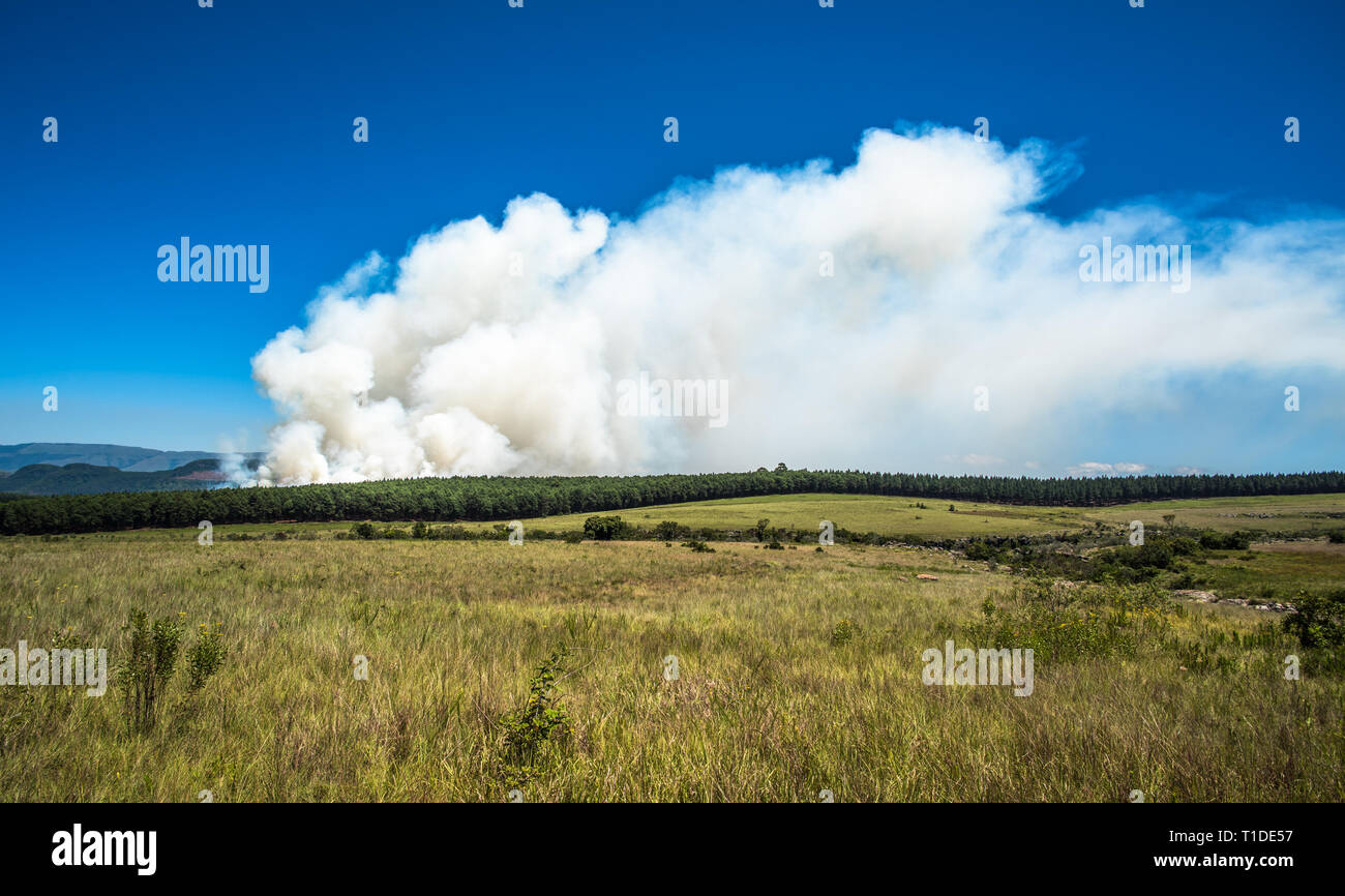 Wildfire hazard hi-res stock photography and images - Alamy