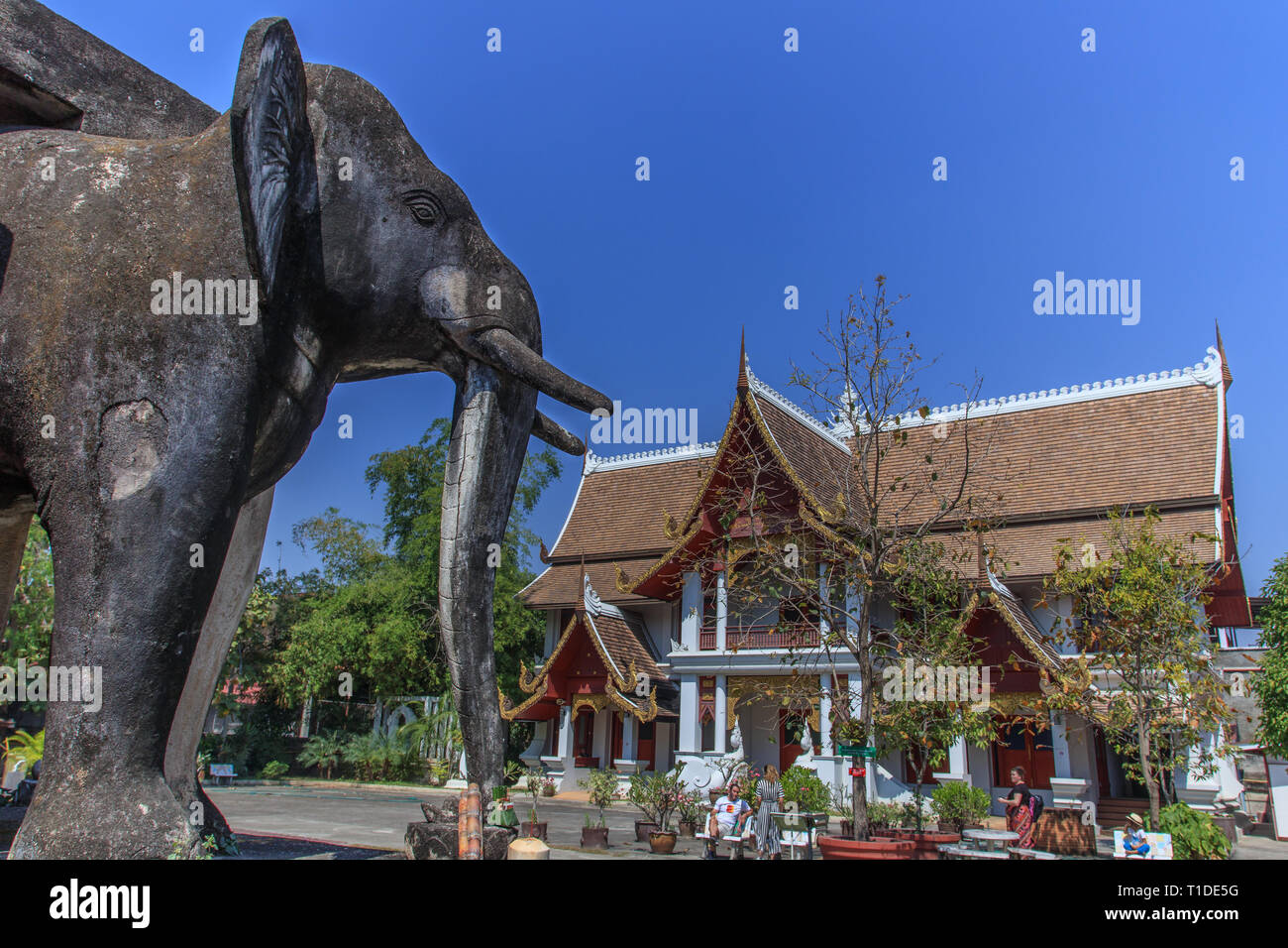 Wat Chiang Man temple in Chiang Mai Stock Photo - Alamy
