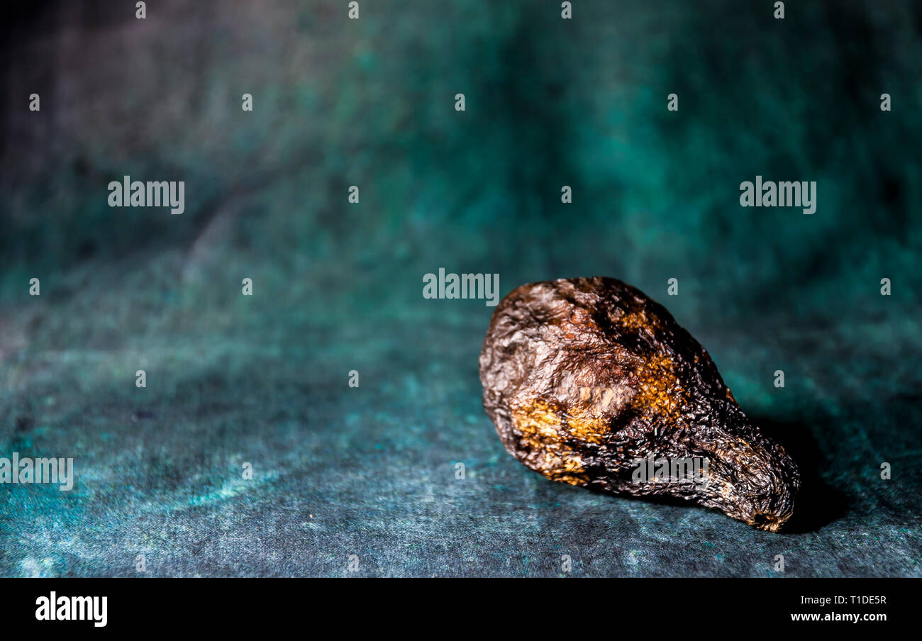 dry withered avocado on green background Stock Photo - Alamy