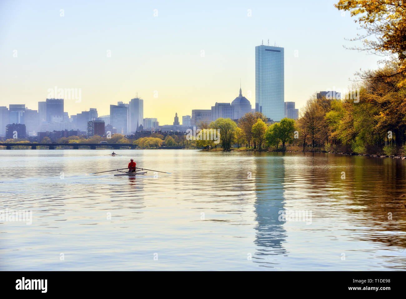 Active at morning and daylight hi-res stock photography and images - Alamy