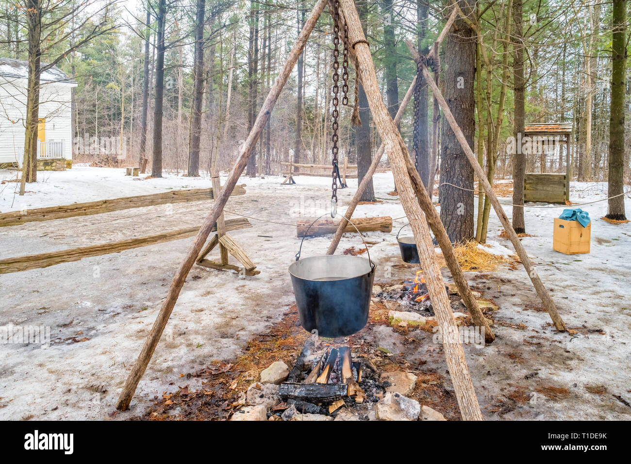 Syrup maple festival hi-res stock photography and images - Alamy