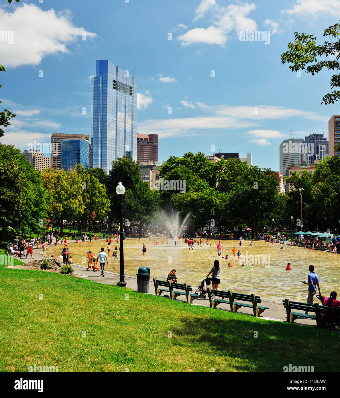 Boston common summer hi-res stock photography and images - Alamy