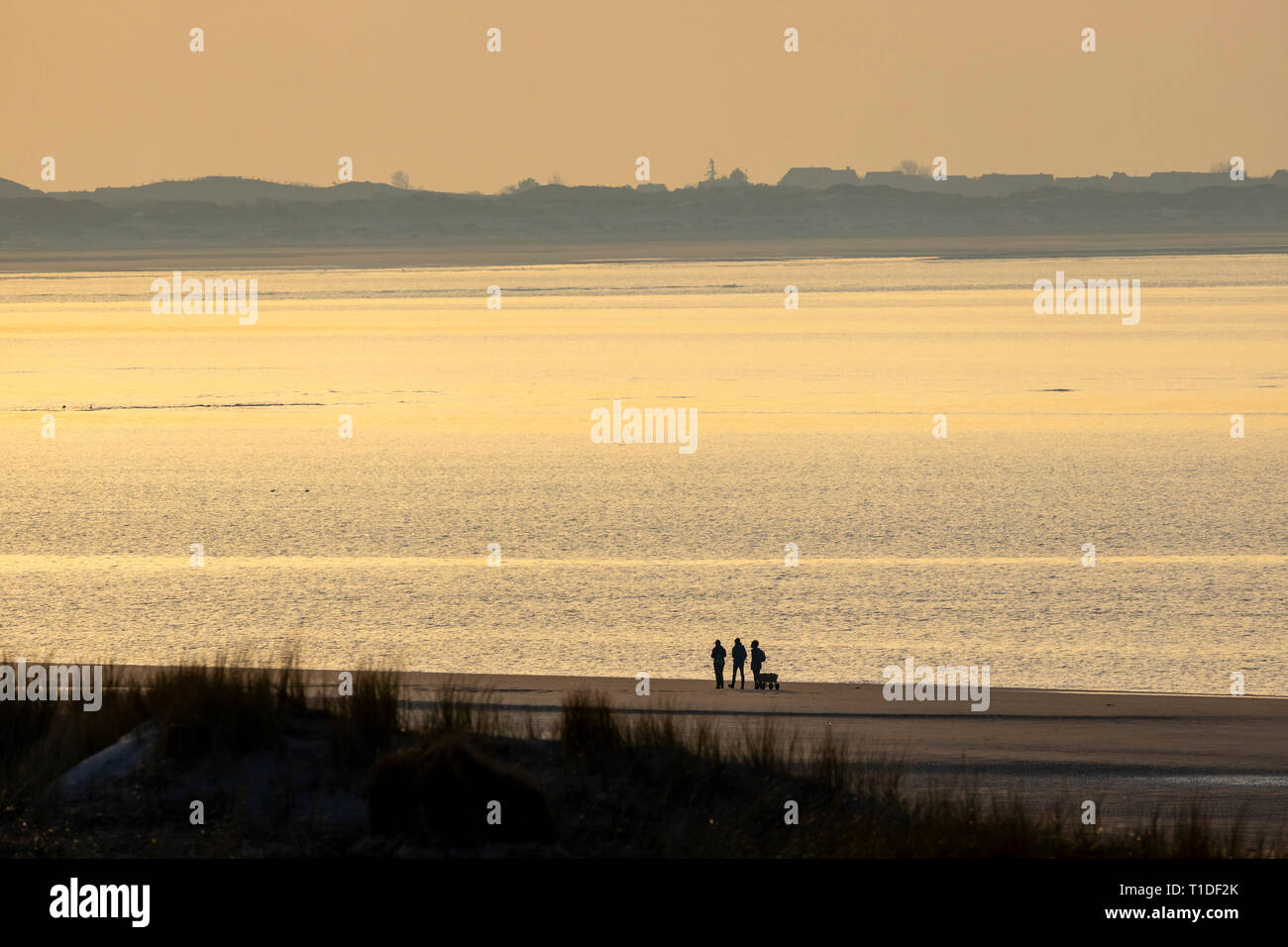 North Sea island Langeoog, East Friesland, Lower Saxony, beach walkers ...