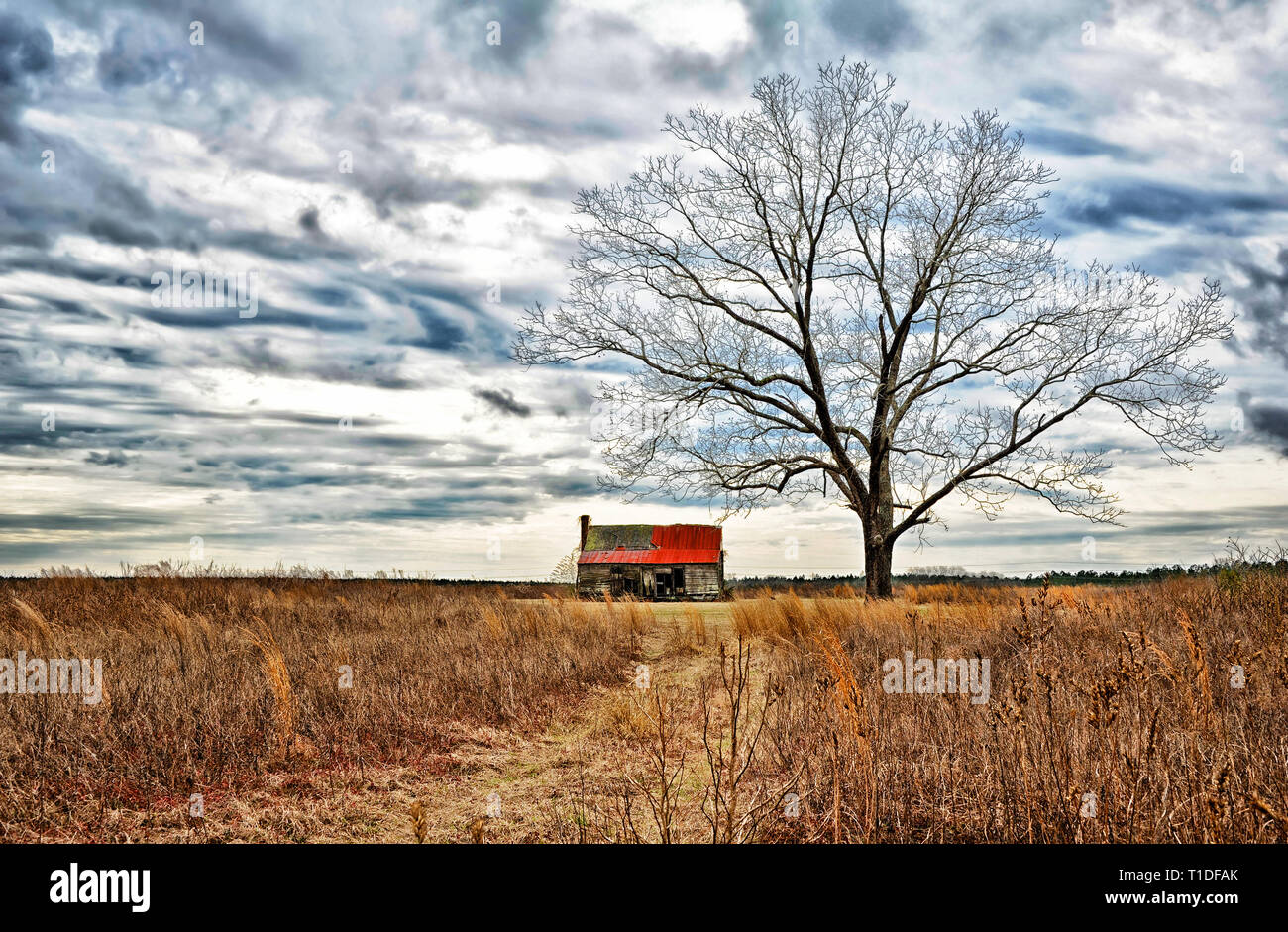 An Abandoned Run Down Farmhouse Stock Photo - Alamy