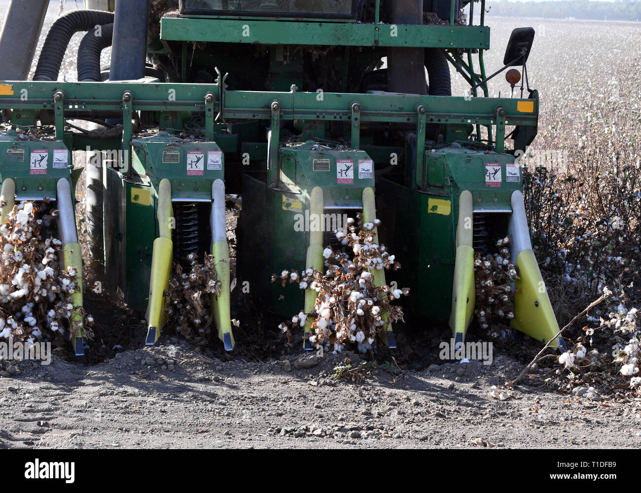 Cotton picker hi-res stock photography and images - Alamy