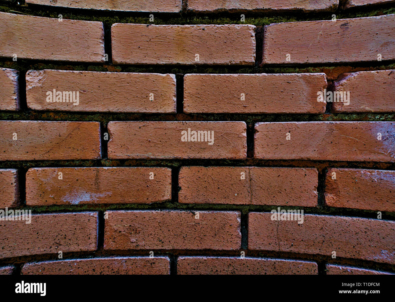 Curved brickwork texture hi-res stock photography and images - Alamy