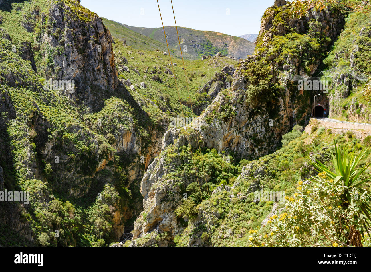 Topolia Gorge with rocks and wild vegetation in western part of the ...