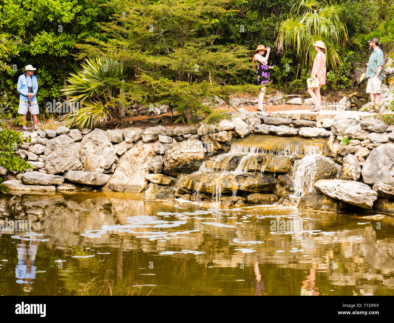 Tourists at waterfall, Leon Levy Native Plant Preserve, Governors ...